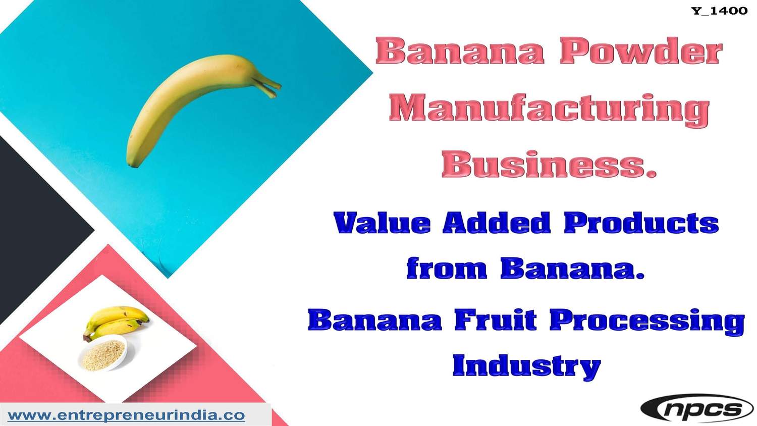 Banana Powder Manufacturing Business - Niir Project Consultancy Services