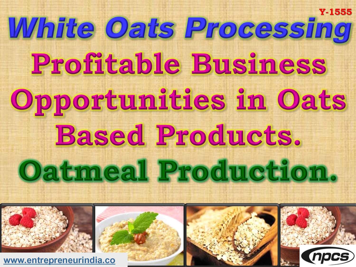 White Oats Processing. Profitable Business Opportunities in Oat Based ...