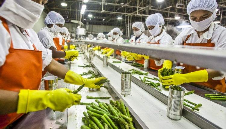Food Processing Project Report - Niir Project Consultancy Services