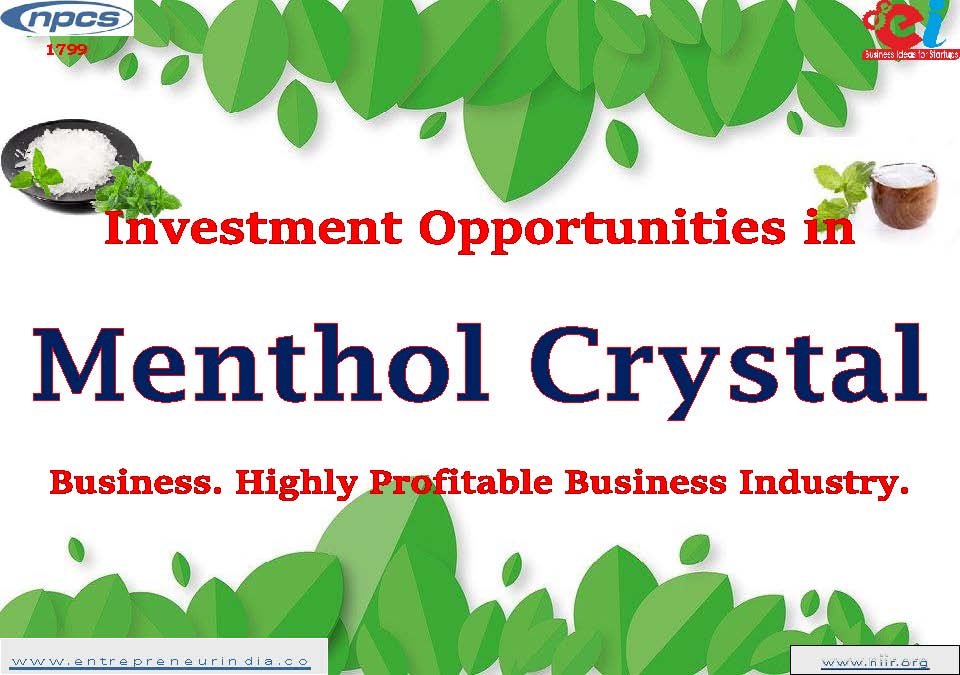 Menthol crystal Project Report | Feasibility Study | Business Plan