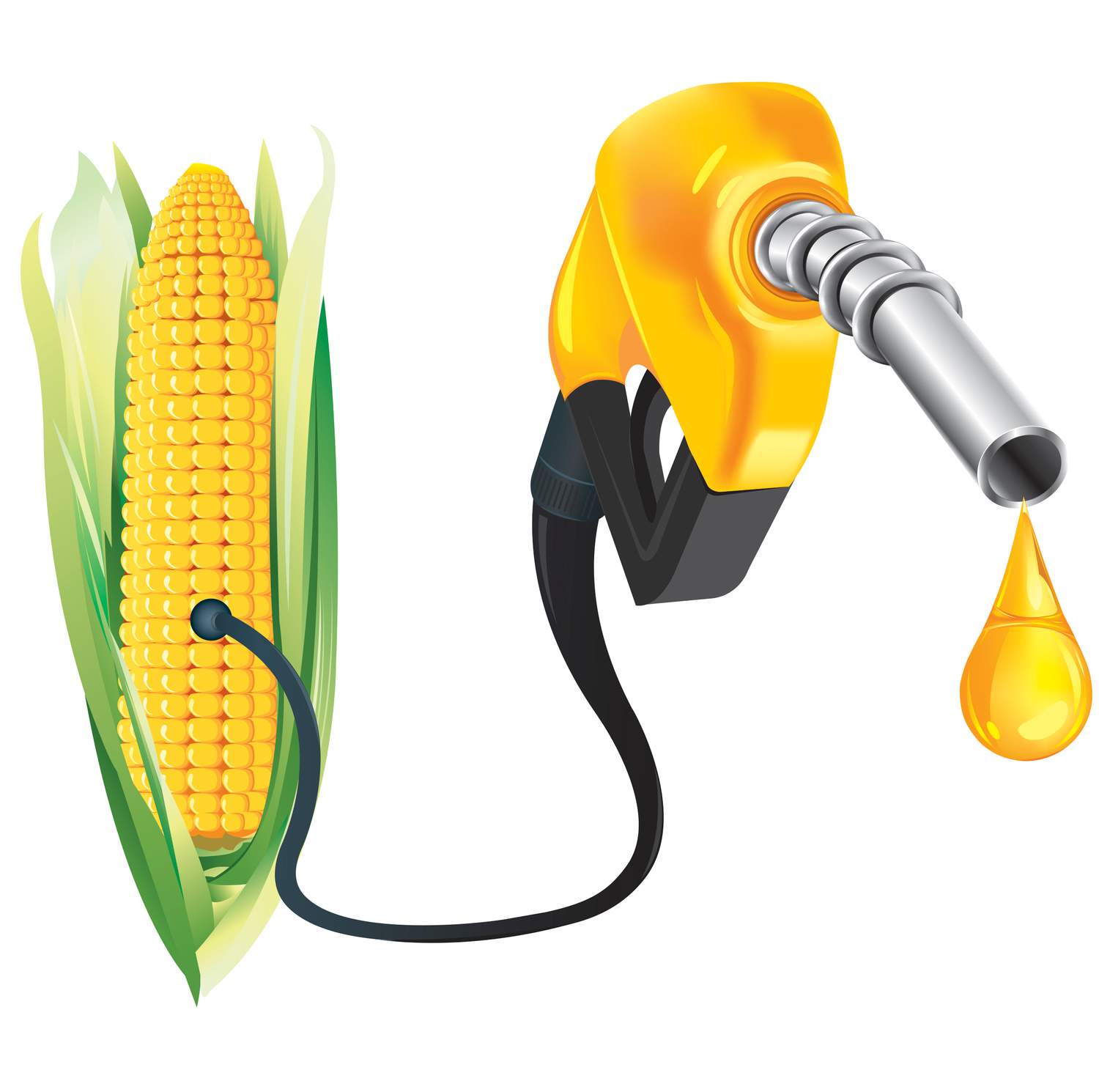 Ethanol from Corn Starch | Ethanol as Biofuel | BioEthanol