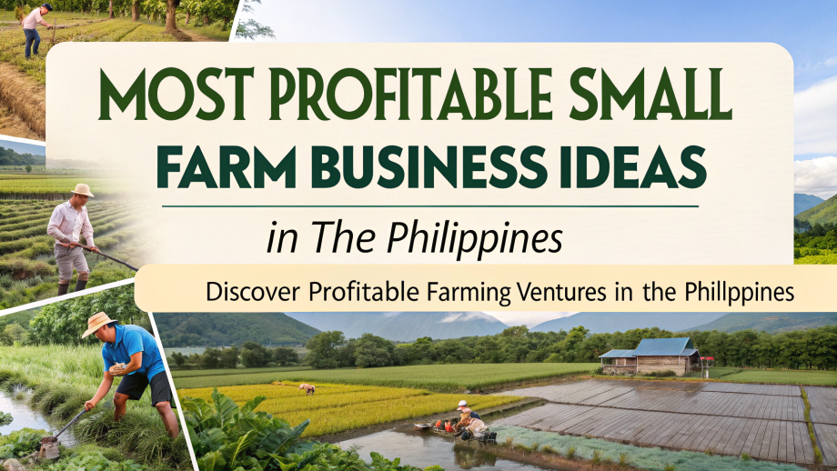 Most Profitable Small Farm Business Ideas in the Philippines