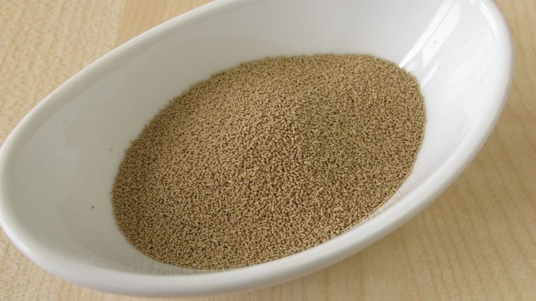 Baker's yeast is a type of yeast that is used in baking bread, pastries ...